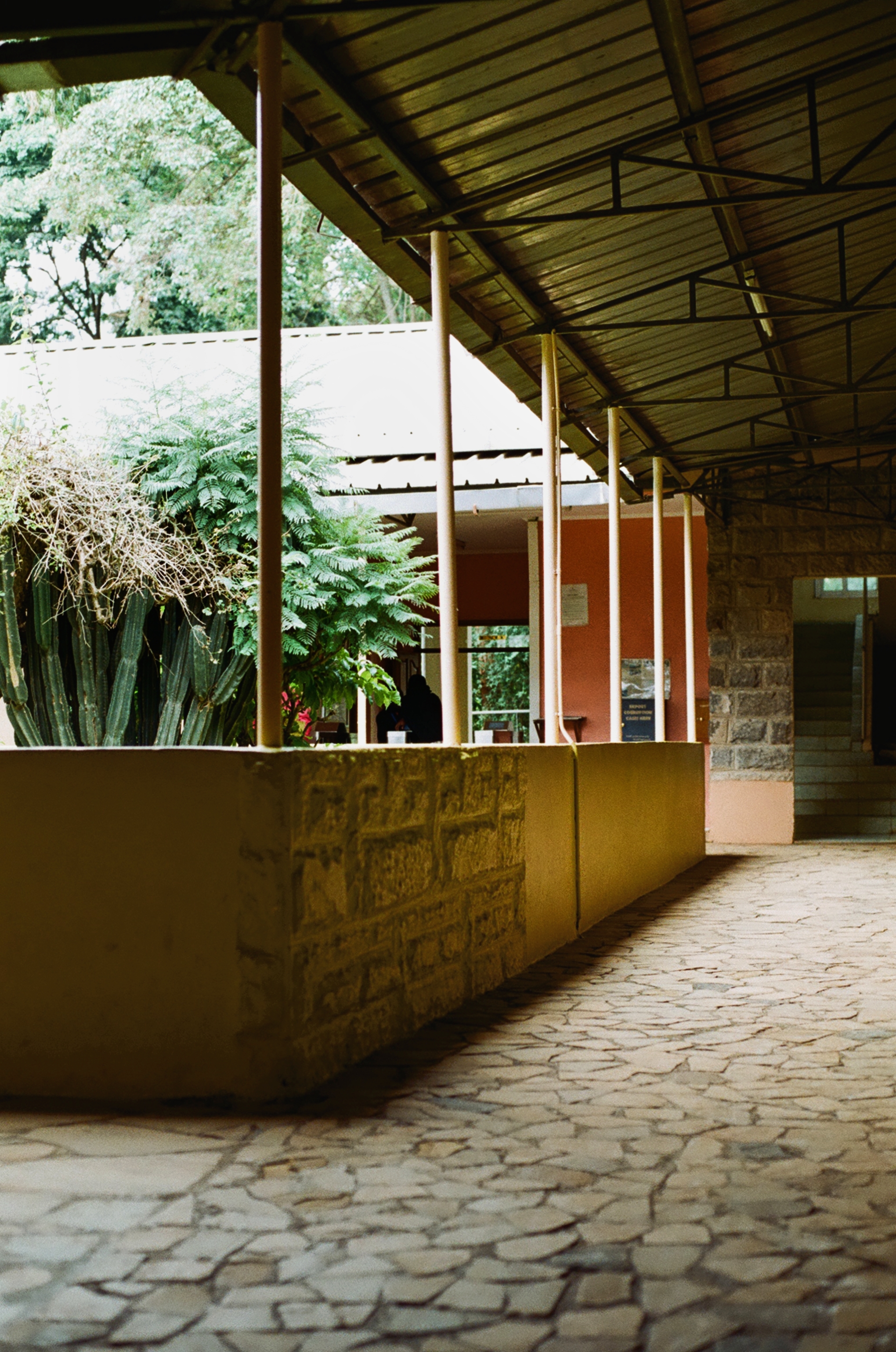 A Week in Kenya - Josh Archer